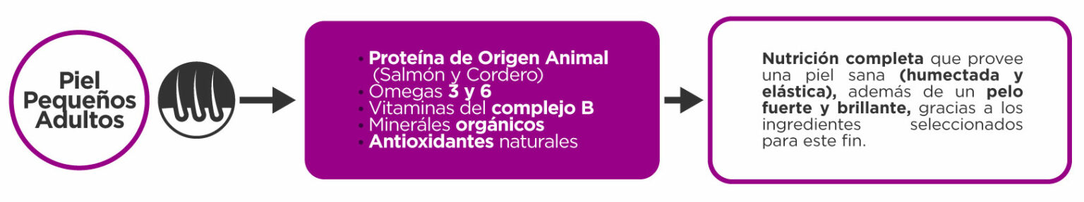 Agility Gold Cuidado Especial Piel Pequeños Adultos - italcol mascotas