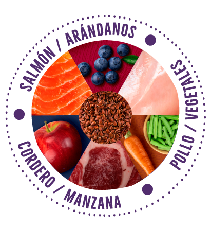 Chunky Menú Natural Nutri-bar